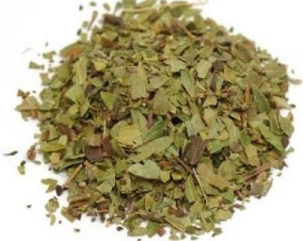 Uva Ursi (Bearberry) Leaf Tea | Living Proof LLC – Living Proof L.L.C.