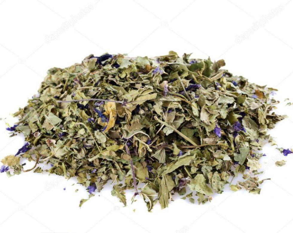 Common Mallow (Malva) Leaf | Living Proof LLC – Living Proof L.L.C.