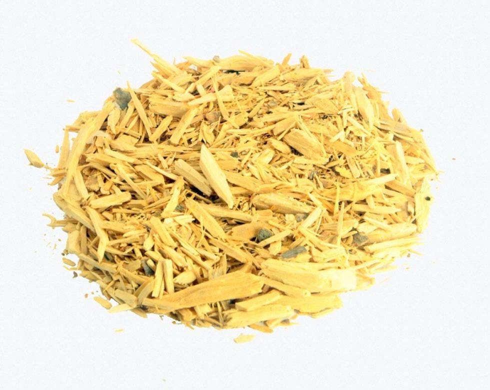 Pau Pereira - Geissospermum laevis Miers – Living Proof L.L.C.