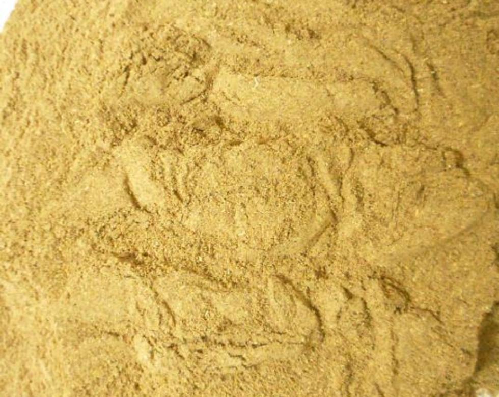 Pau Pereira - Geissospermum laevis Miers – Living Proof L.L.C.