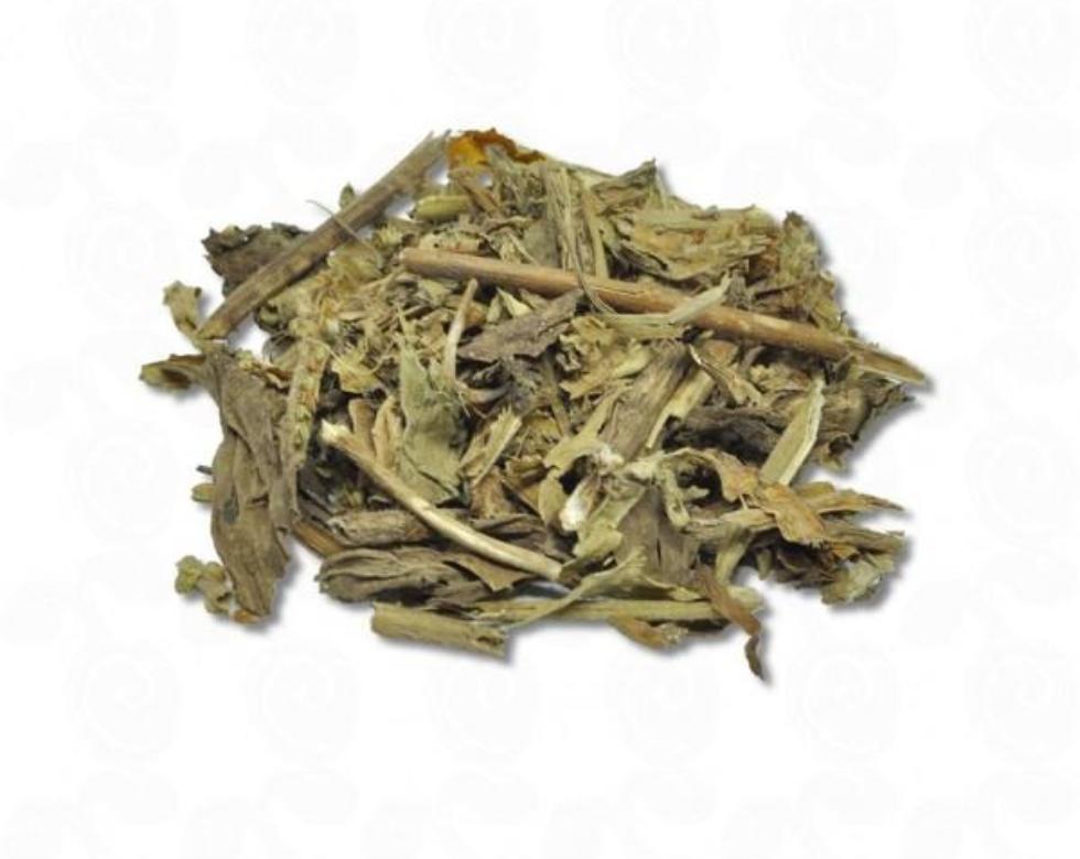 Tanchagem (Waybread) Leaf Tea | Living Proof LLC – Living Proof L.L.C.