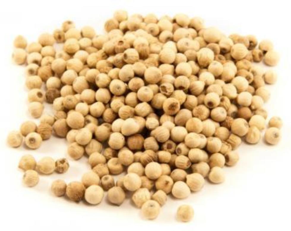 white pepper tree nut