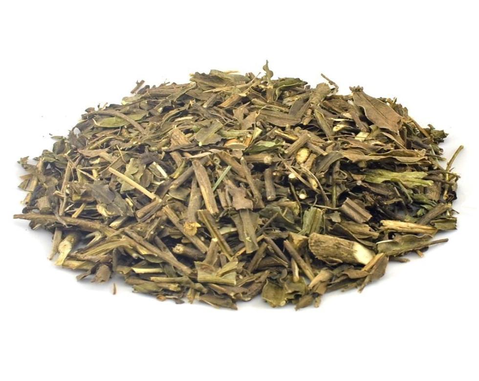 Bitter Carqueja Tea | Living Proof LLC – Living Proof L.L.C.