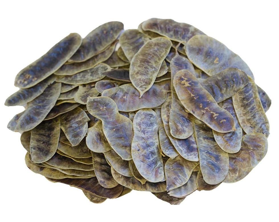 Senna Pod Tea | Living Proof LLC – Living Proof L.L.C.
